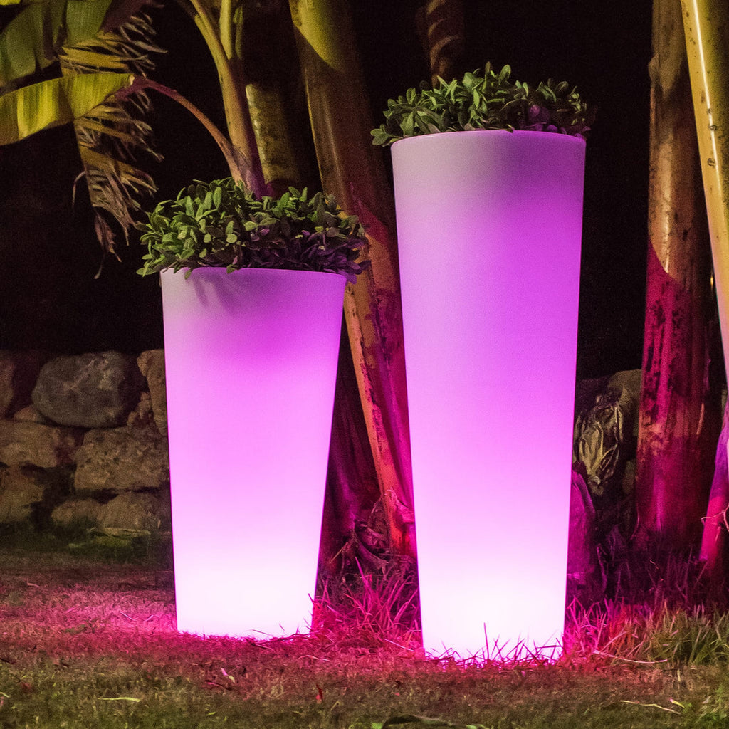 Ficus Planter Lamp by Newgarden — The Modern Shop