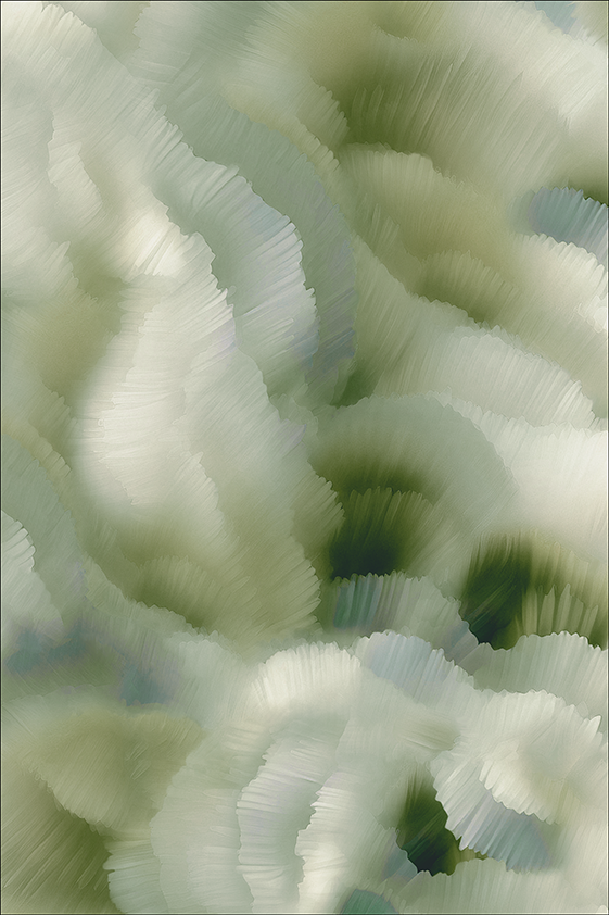 Flitter Flutter from the Green House Collection by Moooi Carpets — The ...