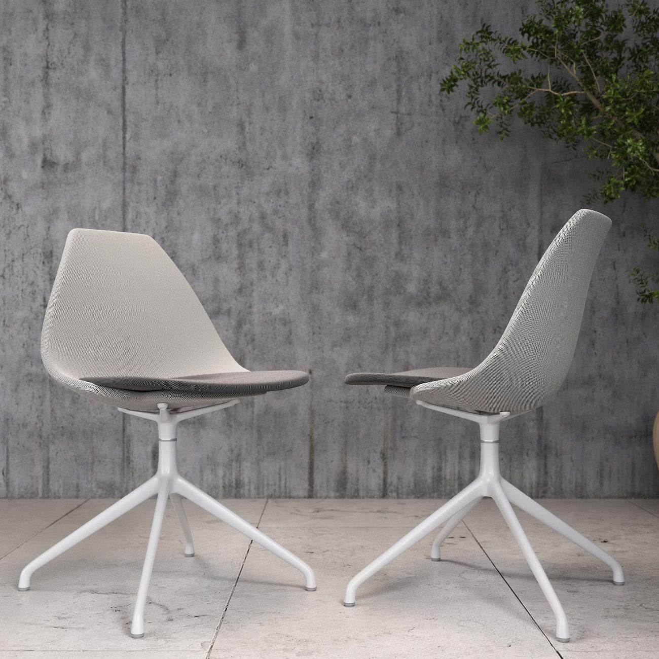 Ziba Chair by Case — The Modern Shop